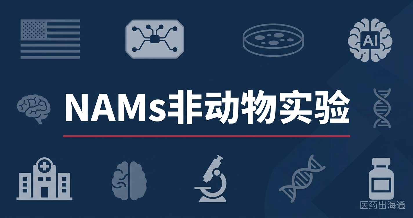 FDA 2026非动物实验指导草案：NAMs验证框架如何改变药品非临床开发范式